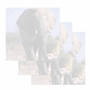 elephant sticky notes - set of 3 - wildlife animal theme design - stationery gift - paper memo pad - office and school supplies