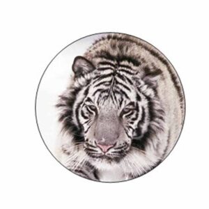 white tiger face stickers - gift bag or envelope seals - animal theme stationery design - party favor supplies - set of 24