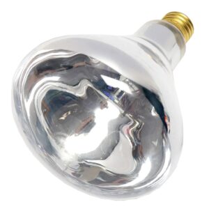 damar 02067 - 125br40 00386c heat lamp light bulb