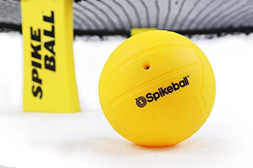 Spikeball Replacement Balls (2 Pack)