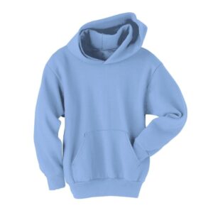 hanes boys eco smart pullover hoodie, light blue, medium