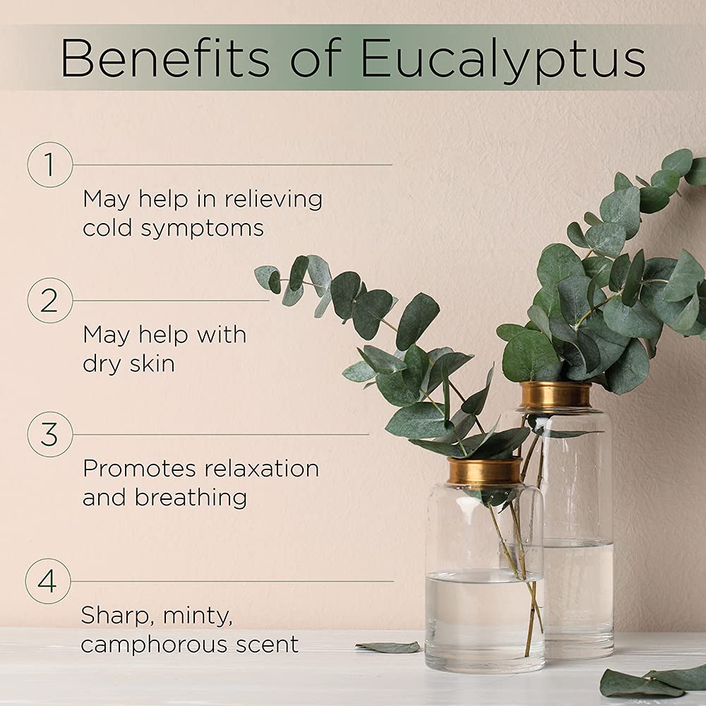 Radha Beauty Eucalyptus Essential Oil 4 oz - 100% Pure & Therapeutic Grade, Steam Distilled for Aromatherapy, Relaxation, Shower, Sauna, Bath, Steam Room and other DIY Projects.