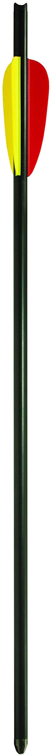 Daisy Youth Archery Target Bolts, 16" (969002-301)