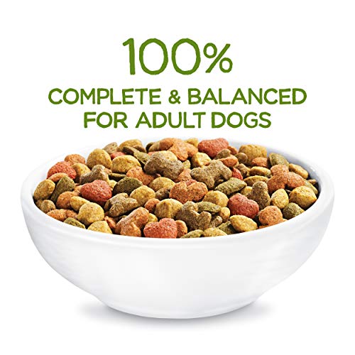 Purina Beneful Healthy Weight Dry Dog Food With Farm-Raised Chicken - 6.3 lb. Bag