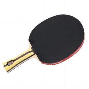 DHS Table Tennis Racket 4002, Ping Pong Paddle, Table Tennis Racquets - Shakehand with LANDSON Rubber Protector