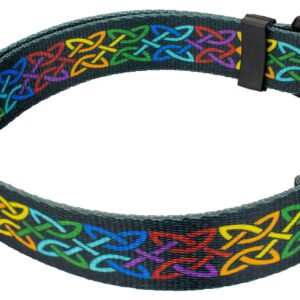 Country Brook Petz - Deluxe Celtic Pride Dog Collar - Made in The U.S.A. - Irish Pride Collection featuring Lucky Designs (1 Inch, Medium)