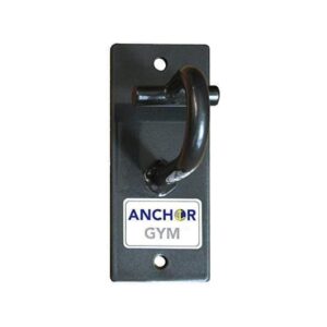 anchor gym h1 workout wall mount, strap anchor, wall & ceiling mounted hook exercise station for bodyweight straps, resistance bands, strength training, yoga, home gym. (wood screws included)