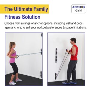 Anchor Gym H1 Workout Wall Mount, Strap Anchor, Wall & Ceiling Mounted Hook Exercise Station for Bodyweight Straps, Resistance Bands, Strength Training, Yoga, Home Gym. (Wood Screws Included)