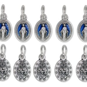 Caritas et Fides Pack of 10 - Mini Miraculous Medal Pendant for Charm Bracelet or Necklace, 1/2" Silver and Blue, Small - Made in Italy