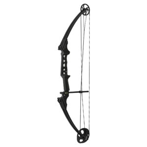 genesis gen-x compound bow, right handed, black