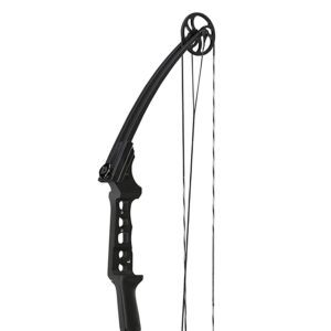 Genesis Gen-X Compound Bow, Right Handed, Black