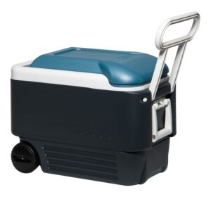 igloo quart maxcold cooler, blue/navy, 40 qt