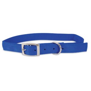 petmate nylon collar, blue, 1" x 28"