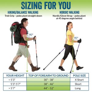 York Nordic Ultralight Folding Walking Poles - Travel Ready - with Rubber Feet, Baskets, and Bag (Nordic Grips - 5'3" to 5'7")