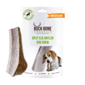 buck bone organics elk antler split dog chew (medium)