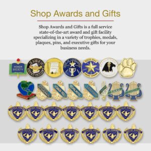 SHOP AWARDS AND GIFTS Above and Beyond Lapel Pins for Students, Appreciation, Reward, School, Employee Recognition Awards, Bulk Pack of 12, Poly Bagged, 1 Inch