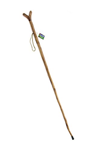 SE Natural Wood Walking Stick with V Yoke for Rifle, Steel Spike and Metal-Reinforced Tip Cover, 55" - WS622-55YH