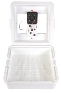 little giant® digital circulated air incubator | 41 eggs | egg incubator with fan, temperature and humidity control | hatching eggs