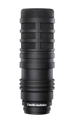 Audio-Technica Dynamic Microphone (BP40)