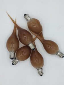 on the bright side primitive silicone dipped 5 watt light bulb - pack of 6 - rustic brown color