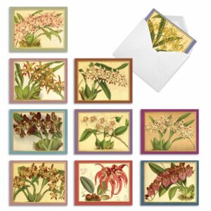 the best card company - 10 boxed note cards with flowers - blank assorted floral notecards bulk (4 x 5.12 inch) - tiger orchids m10037bk