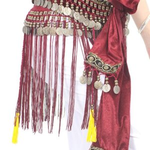 ZLTdream Women's Belly Dance Tribal Hip Scarf with Fringe Coins Flannel Dark Red, One Size