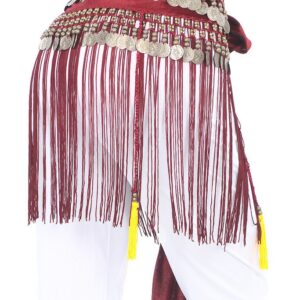 ZLTdream Women's Belly Dance Tribal Hip Scarf with Fringe Coins Flannel Dark Red, One Size