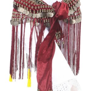 ZLTdream Women's Belly Dance Tribal Hip Scarf with Fringe Coins Flannel Dark Red, One Size