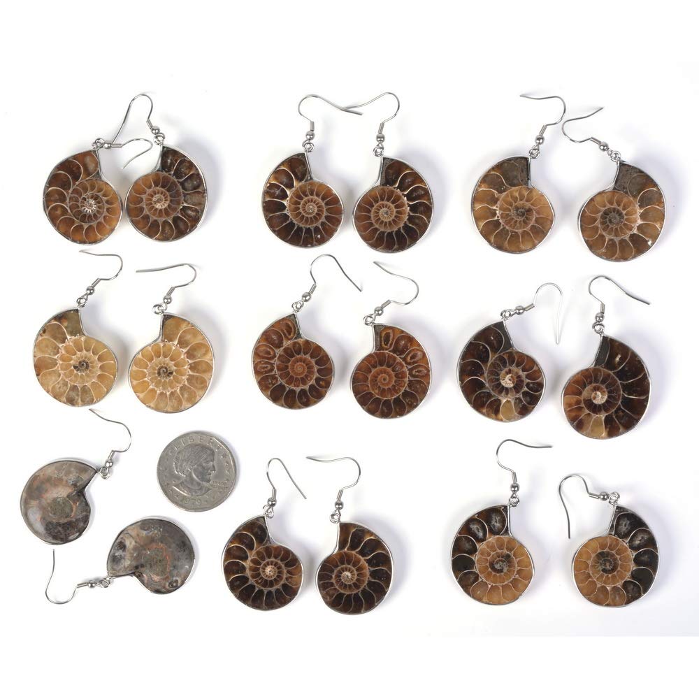 Justinstones Natural Ammonite Fossil Earrings