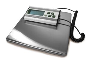 lem products 330 lb. stainless steel digital scale, silver