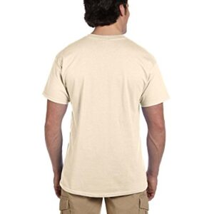 Fruit of the Loom 5 oz, 100% Heavy Cotton HD T-Shirt, Medium, Natural