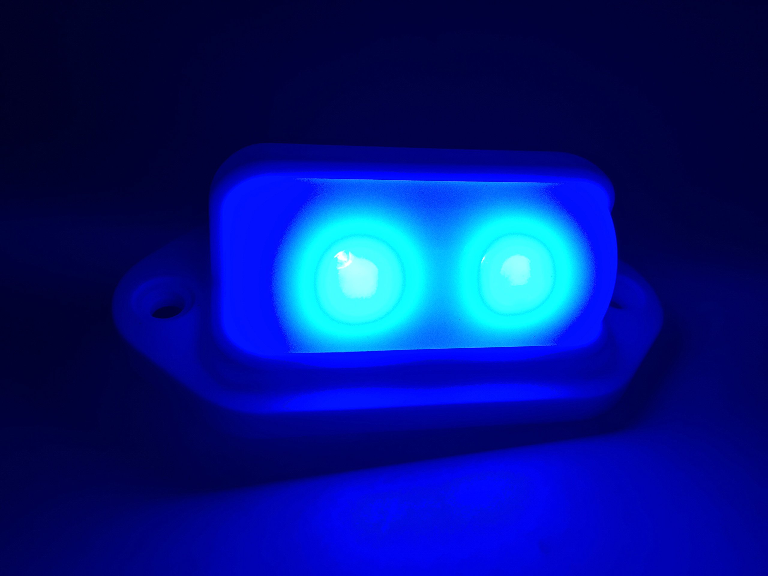 Marine Boat LED RV Blue LED Companion Way Courtesy Light 2.6"X1.3" White HOUSING