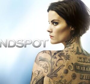 Blindspot: Season 1