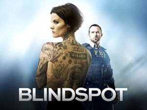 blindspot: season 1