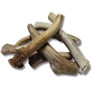 whitetail naturals - bulk deer antlers for dogs (1 pound pack) antler chews - naturally shed, long lasting dog bones for aggressive chewers.