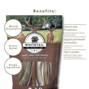 WhiteTail Naturals - Bulk Deer Antlers for Dogs (1 Pound Pack) Antler Chews - Naturally Shed, Long Lasting Dog Bones for Aggressive Chewers.