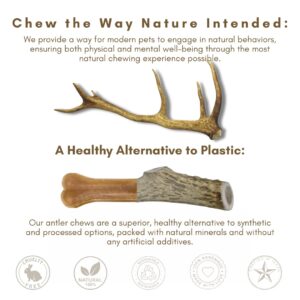 WhiteTail Naturals - Bulk Deer Antlers for Dogs (1 Pound Pack) Antler Chews - Naturally Shed, Long Lasting Dog Bones for Aggressive Chewers.