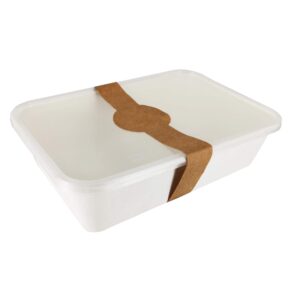 packnwood 210apurec500 - sugarcane rectangular salad bowl - chipotle bowls disposable - halloween bowls soup - dessert bowls - (17 oz, 6.8" x 4.6" x 1.6") - case of 500