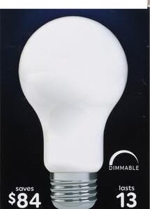 GE Lighting LED Outdoor Light Bulb, 10.5 Watt (60 Watt Equivalent) Soft White, Medium Base, Dimmable (1 Count)