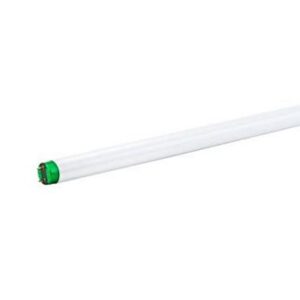 Philips LED 281790 32W T8 Cool White 4100K Alto Linear Fluorescent Light Bulb (30 Pack), 4'