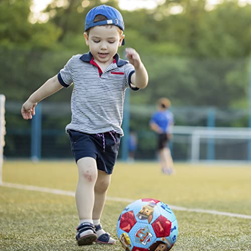 Hedstrom Paw Patrol Jr. Soccer Ball, 7 Inch (53-63884AZ)