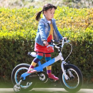 RoyalBaby Boys Girls Kids Bike 12 Inch Matte Button Bicycles with Training Wheels Child Bicycle Blue