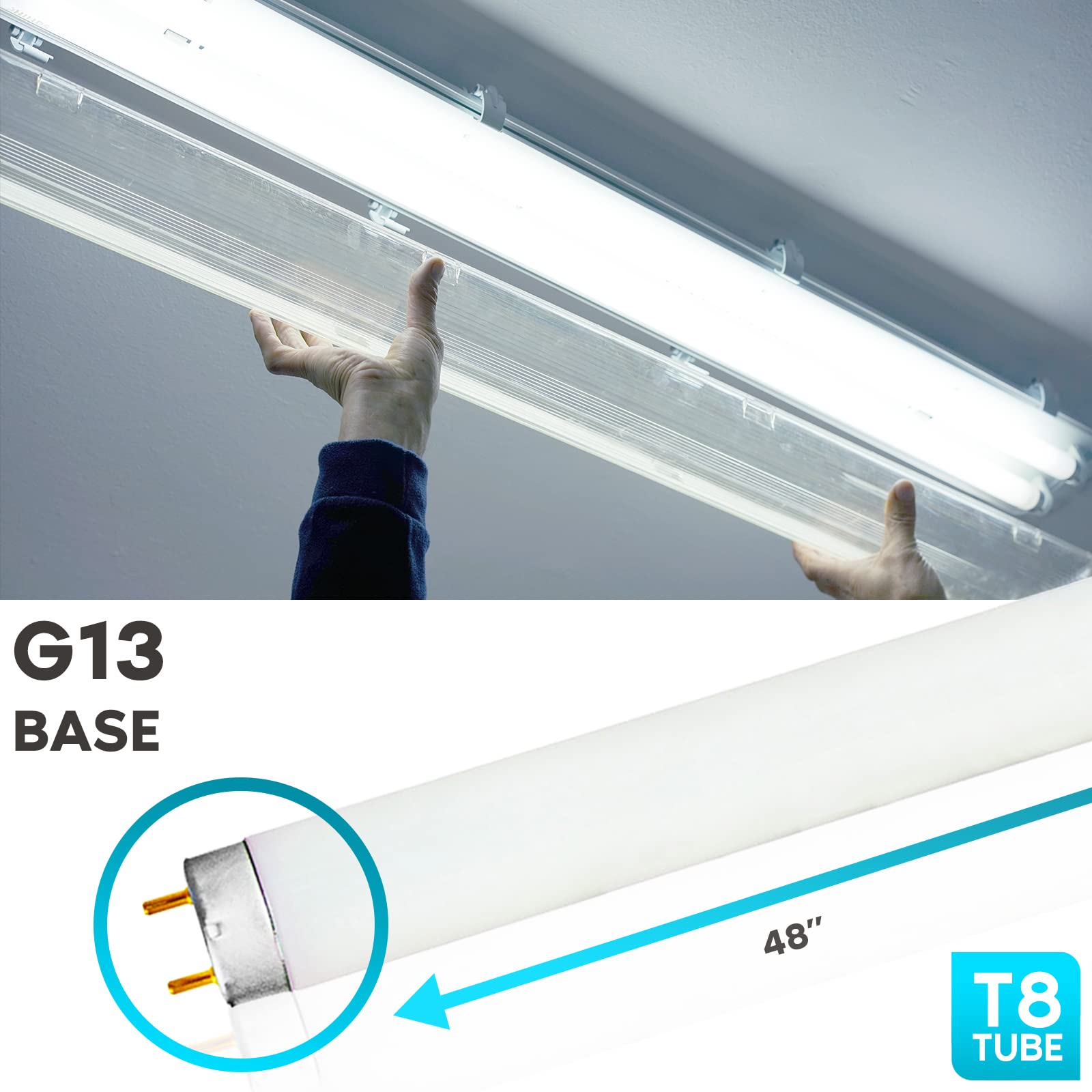 LUXRITE F32T8/865 32W 48 Inch T8 Fluorescent Tube Light Bulb, 6500K Daylight, 2800 Lumens, G13 Medium Bi-Pin Base, LR20735, 4-Pack