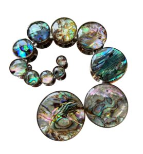 lobal domination pair abalone inlay steel screw fit plugs tunnels earlets gauges pierced body jewelry (6g (4mm))