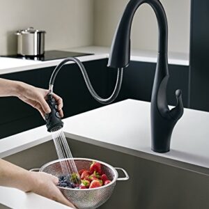 Pfister GT529-IHB Kai 1-Handle Pull-Down Kitchen Faucet Matte Black