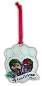 cathedral art, one size, multi pet's first christmas ornament