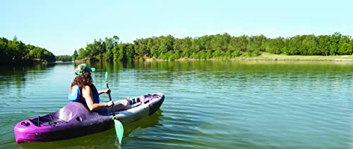 Perception Kayak Access Sit On Top for Recreation