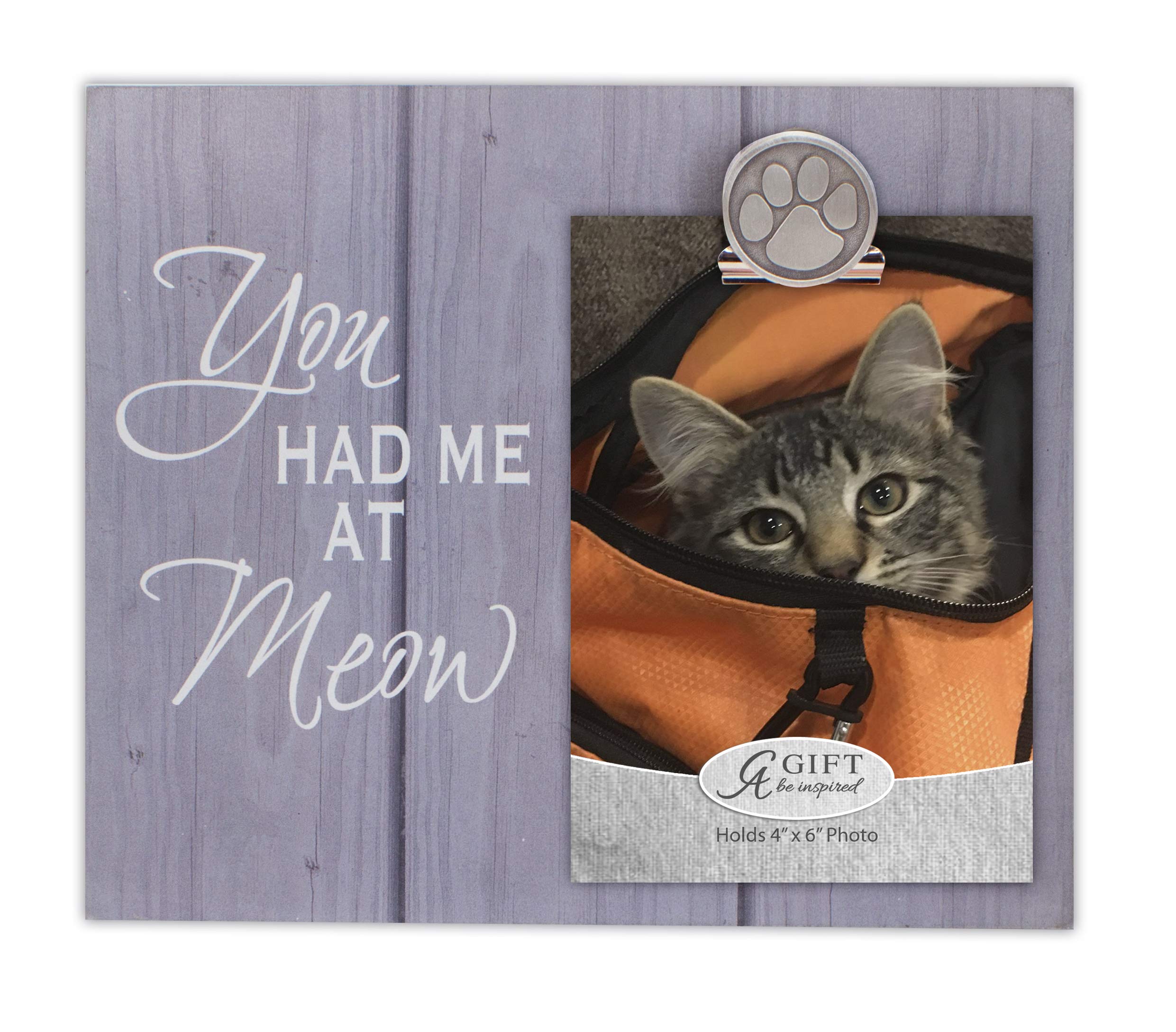 Esselte Abbey & CA Gift Cat Frame-You Had Me at Meow, One Size, Multicolored