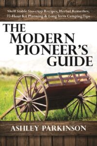 the modern pioneer's guide