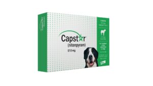 capstar green box flea oral treatment for large dogs over 25lbs. 6 pill/tablets (ca4925y07am)